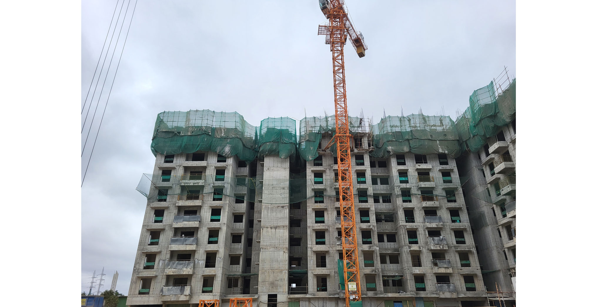 Emerald Status | Brigade El Dorado